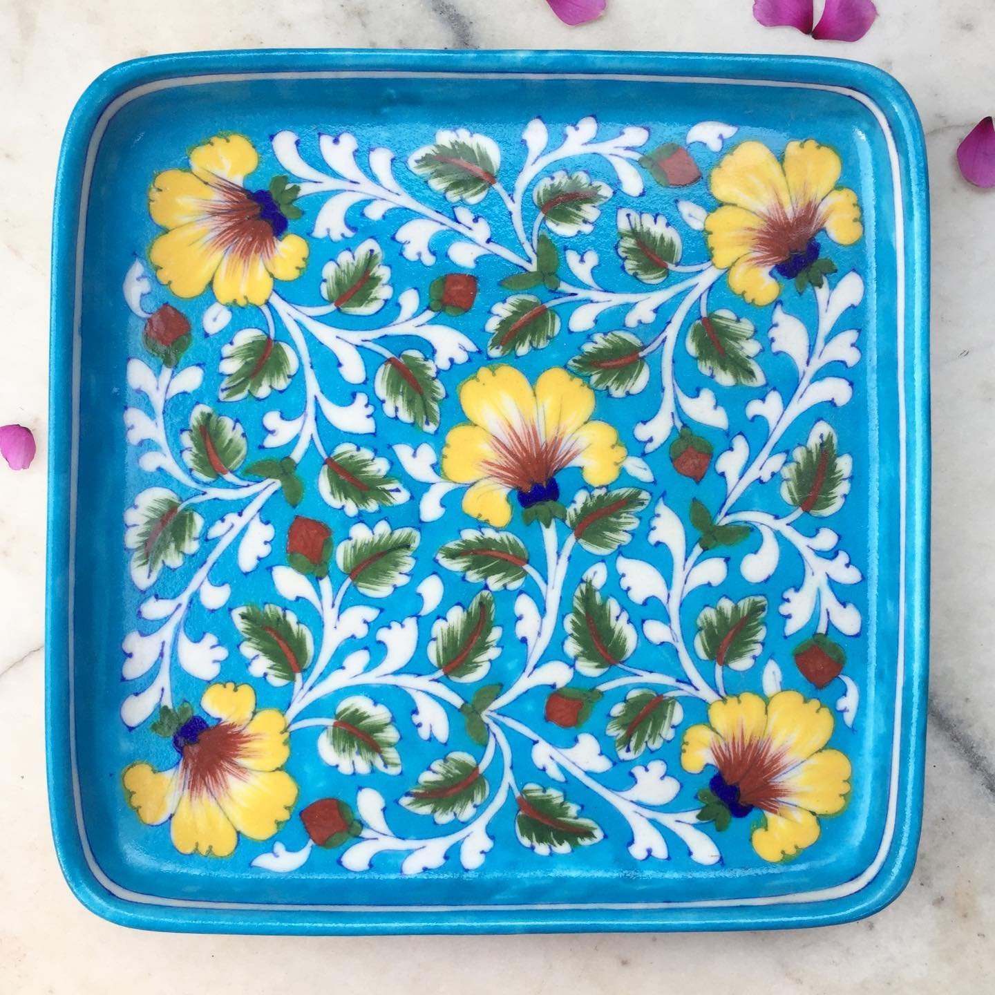 Royal Rajasthan - instep adventures