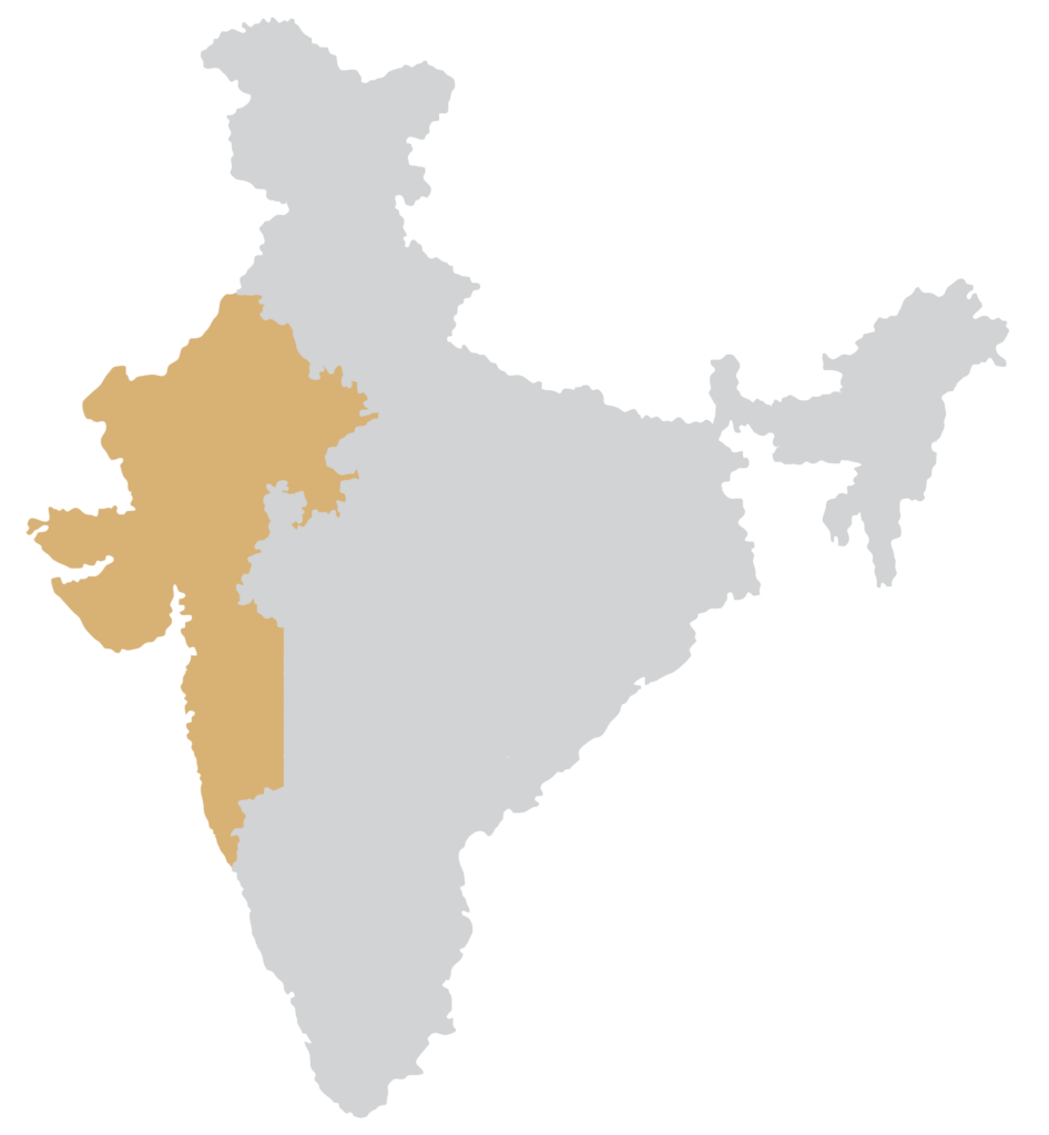Western India - instep adventures