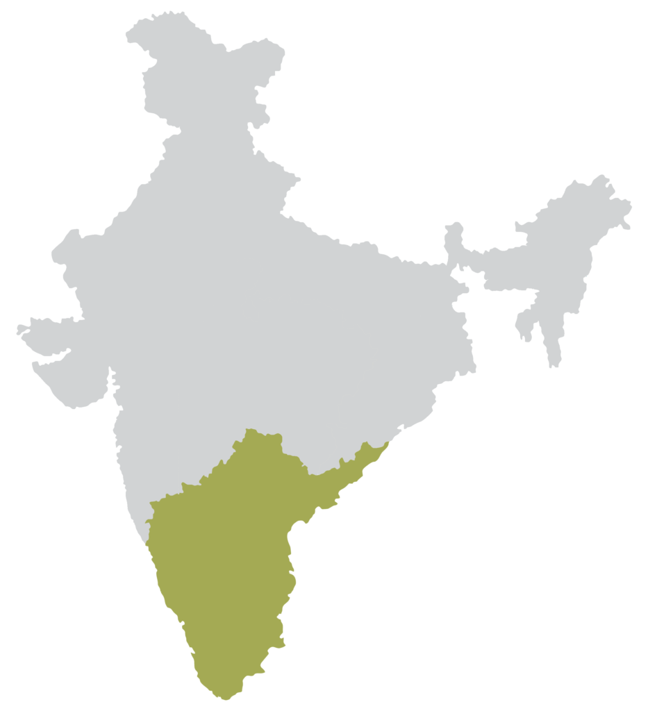 South India - instep adventures